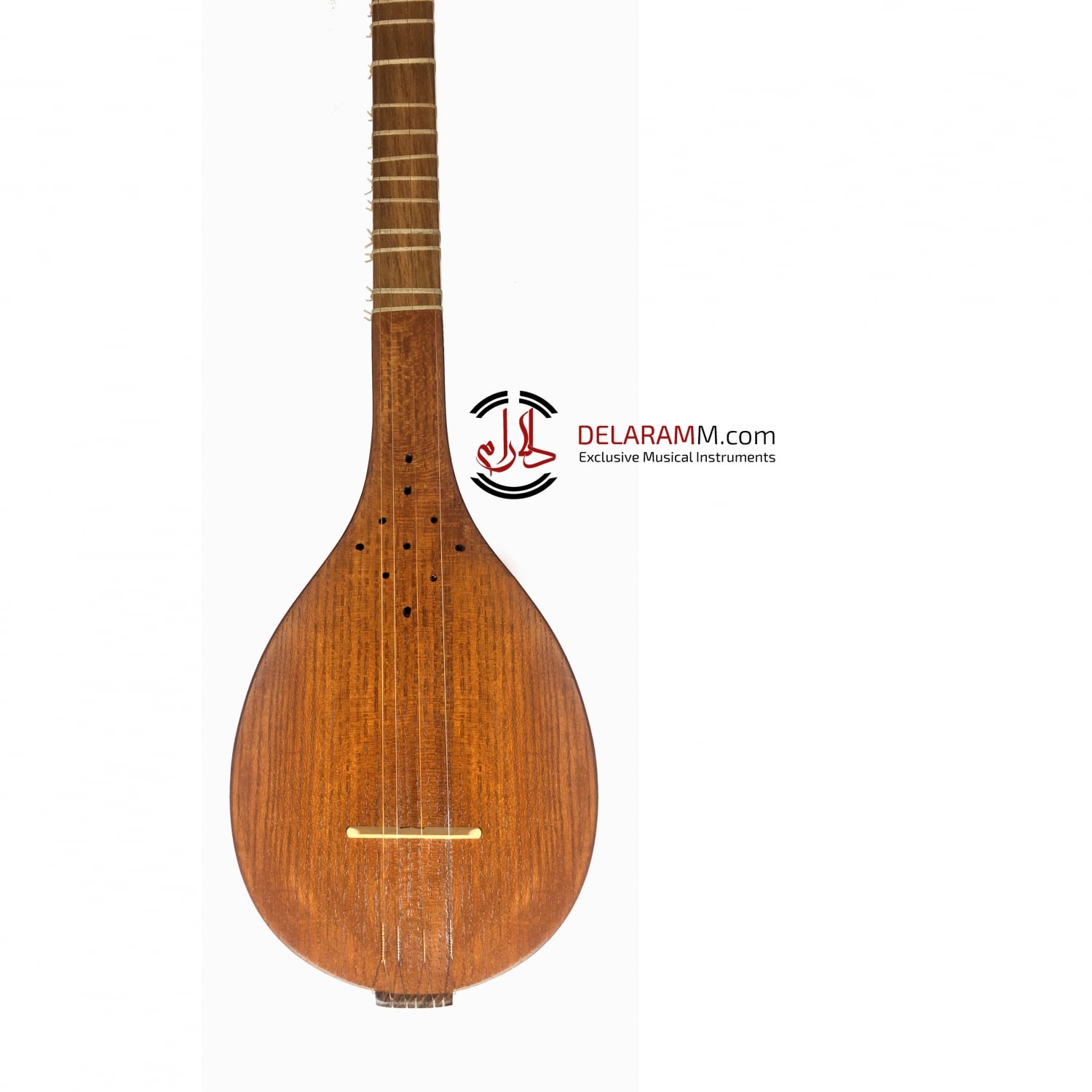 Persian Kamanche (keykhii) - Delaram Music Instruments and Accessories