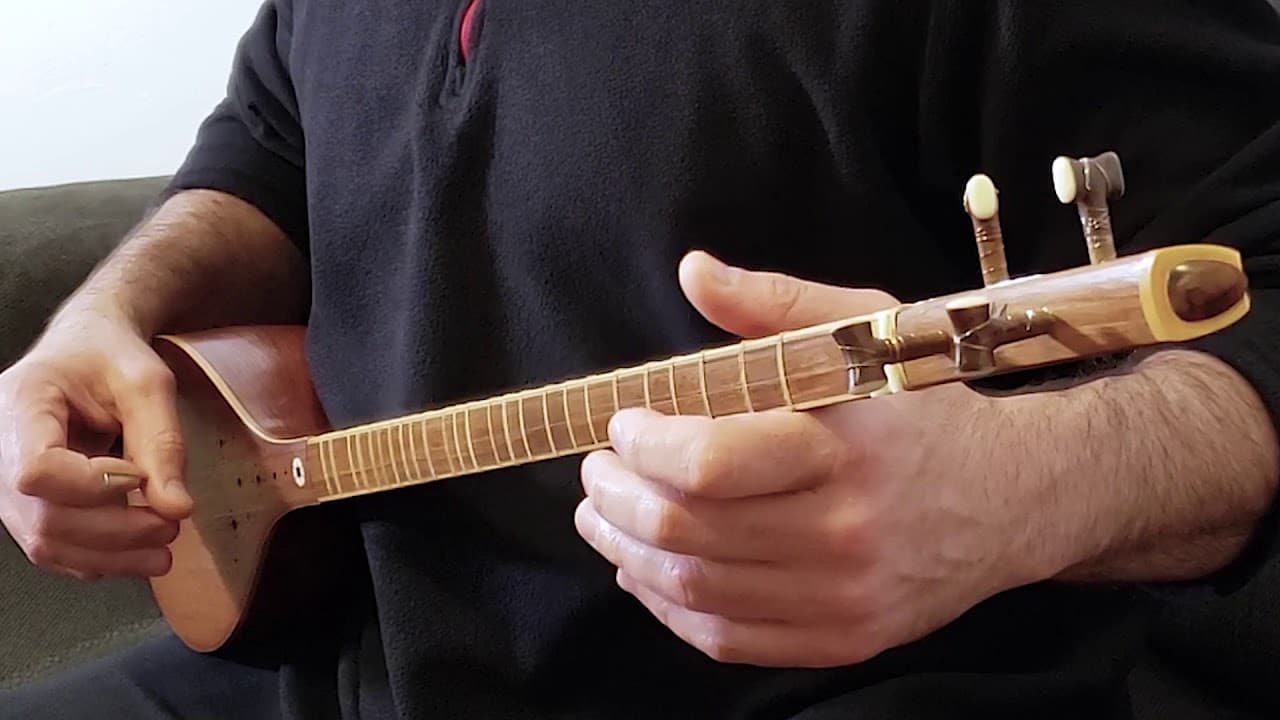 The Ultimate Setar Buying Guide - Delaram Music Instruments and Accessories