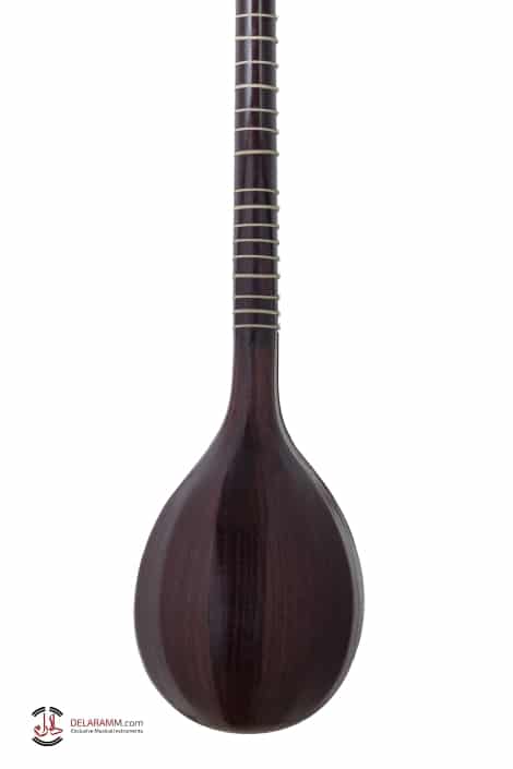 Types of Setar: A Comprehensive Guide to the Iconic Persian Instrument ...