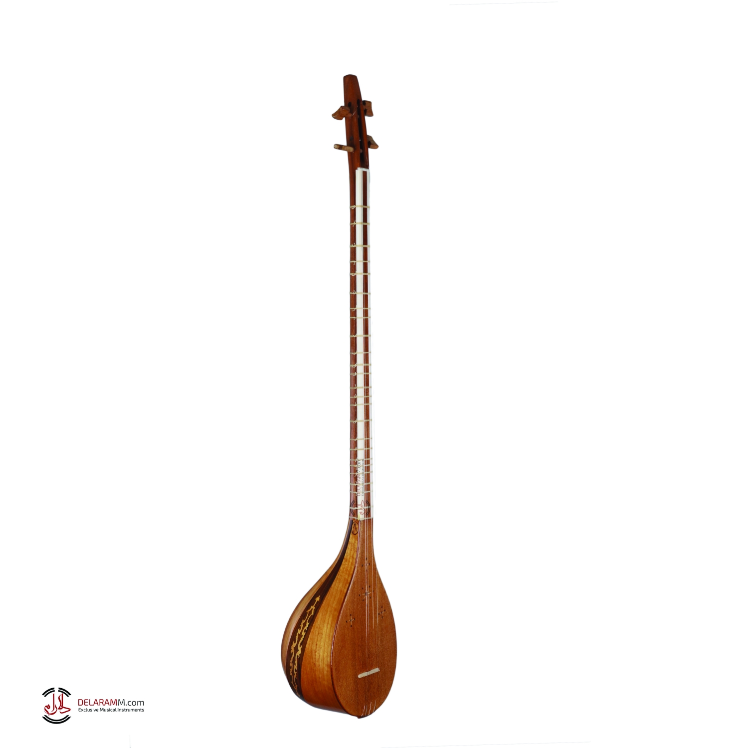 The Timeless Allure of the Setar Instrument - Delaram Music Instruments ...