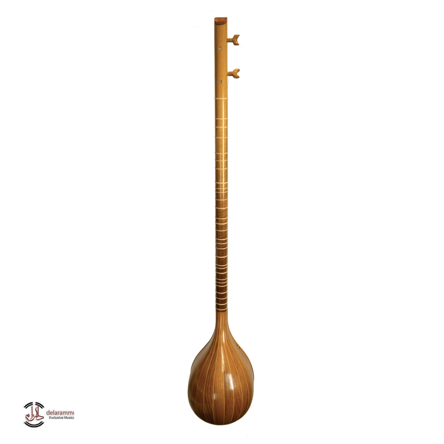 Professional Setar by Homayoun - Delaram Music Instruments and Accessories