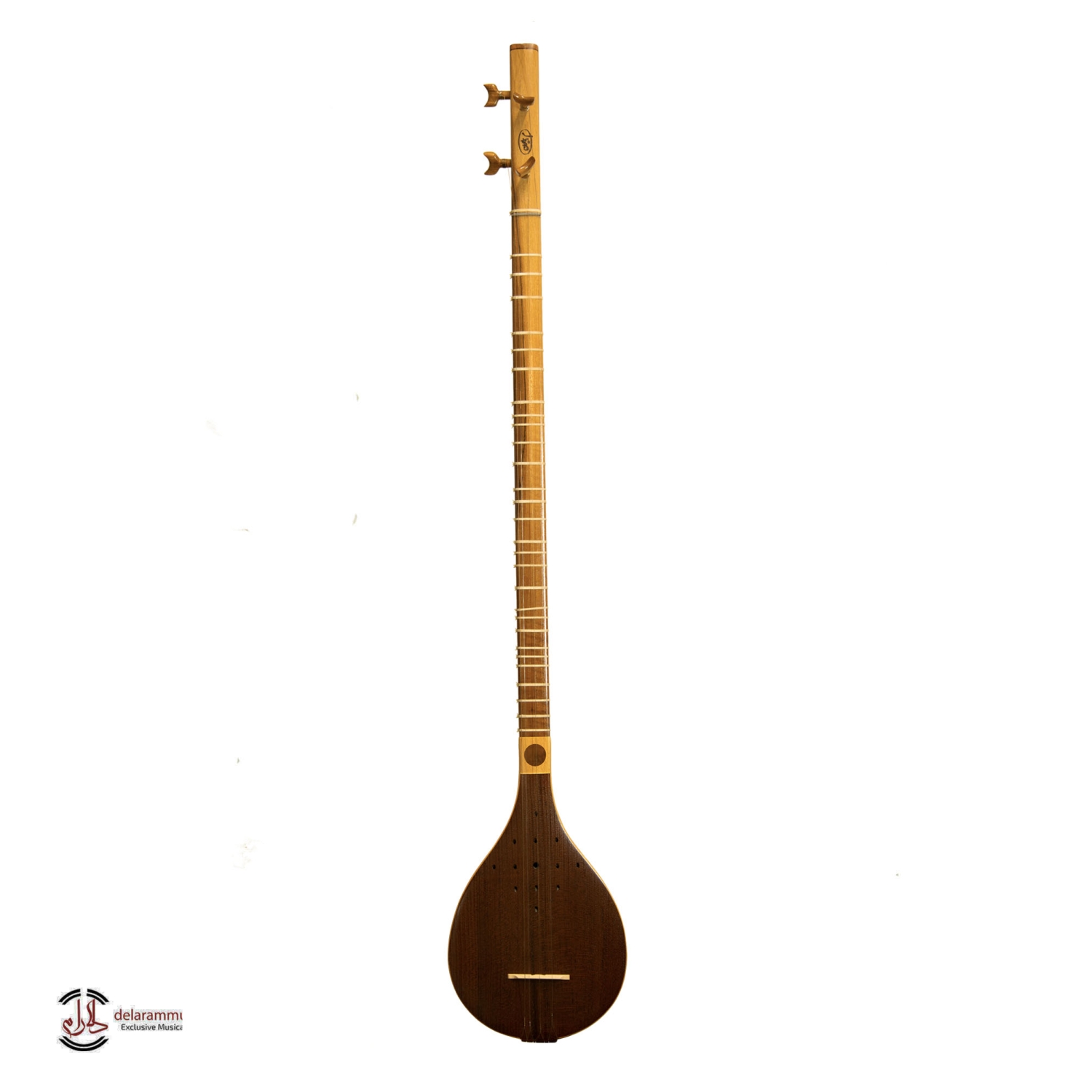 Professional Setar by Homayoun - Delaram Music Instruments and Accessories