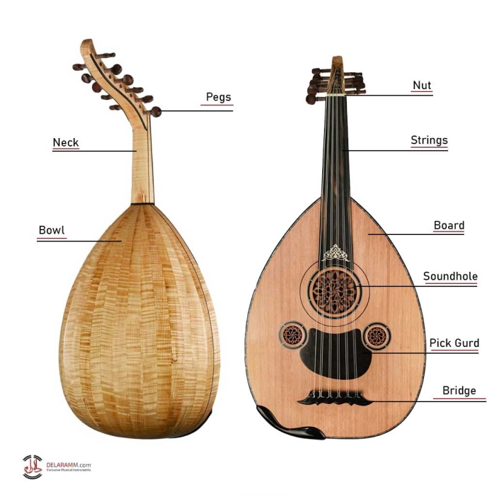 A Guide to Buying the Perfect Oud Instrument for Beginners - Delaram ...
