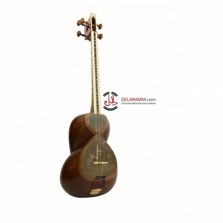 What are the different types of tar instruments? - Delaram Music ...